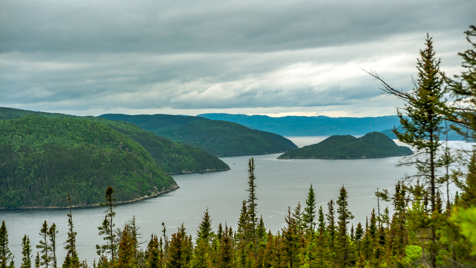 Canada's Creepy 'Breathing Forest' Is An Ethereal Quebec Gem With A One ...