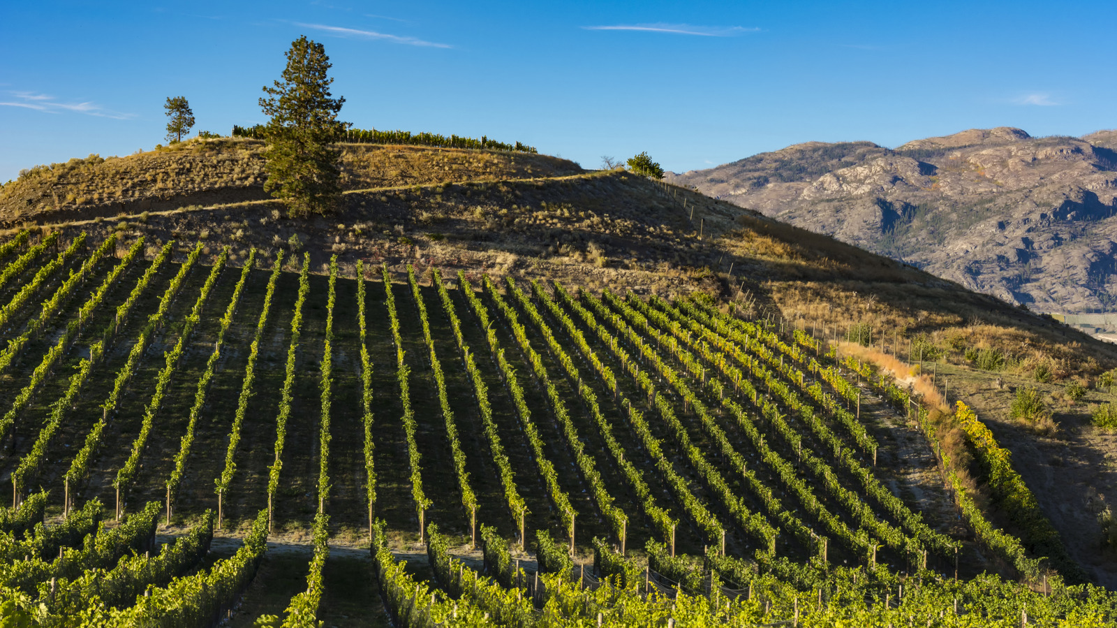 Canada's Gorgeous Year-Round Getaway Has Tasty Wine, Lake Fun, And ...