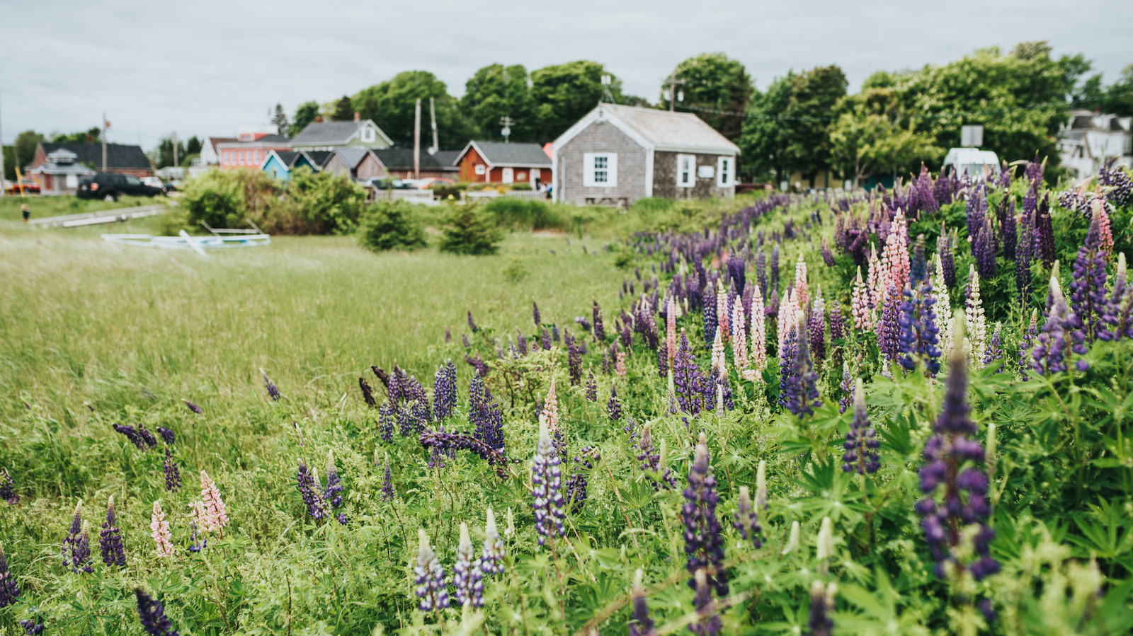 Canada's Seaside Storybook Village Is A Charming Walkable Gem Where ...