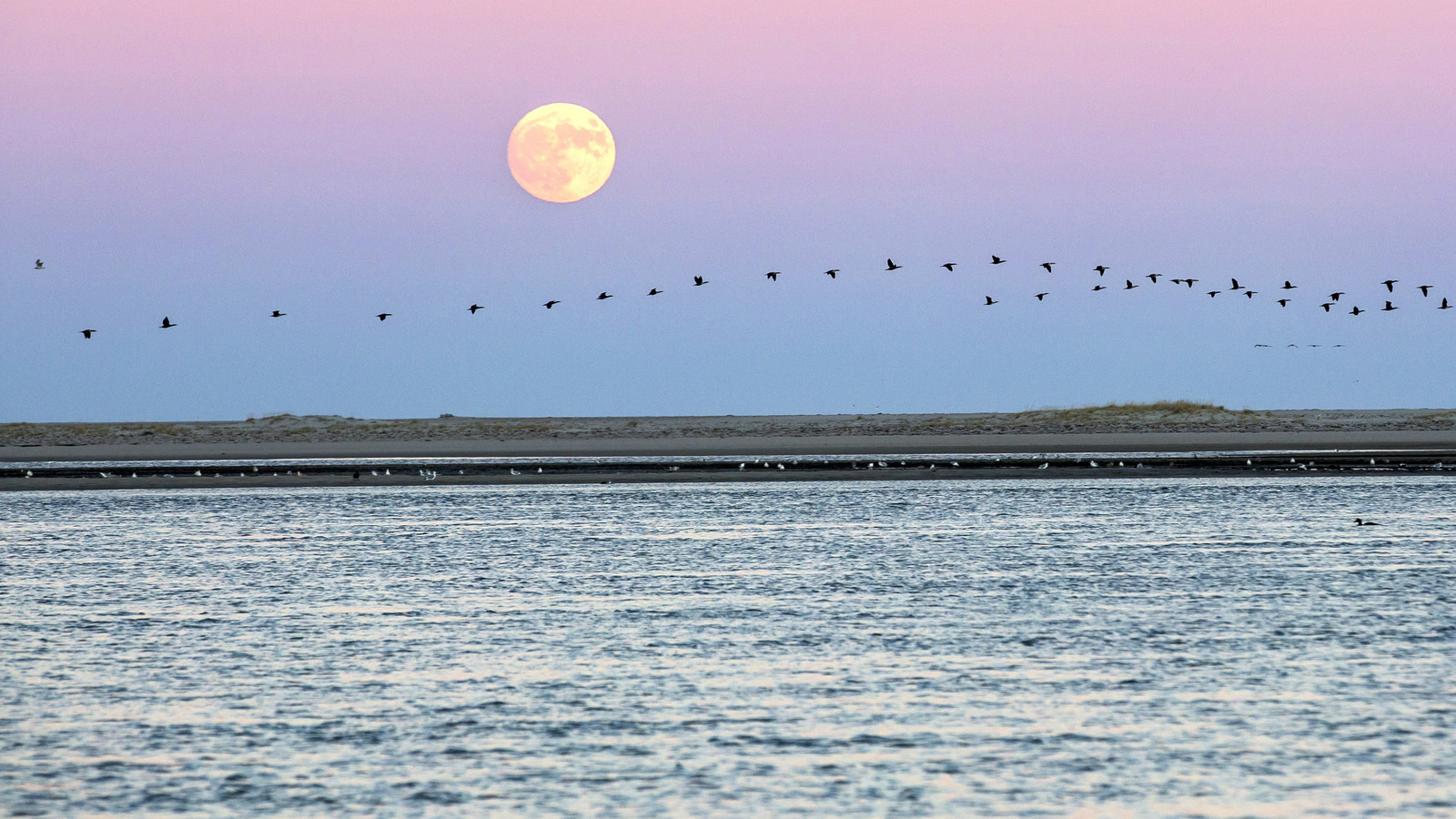 Cape Cod's Serene 'Wrist' Hides An Uncrowded Beach With Sand Bars, A ...