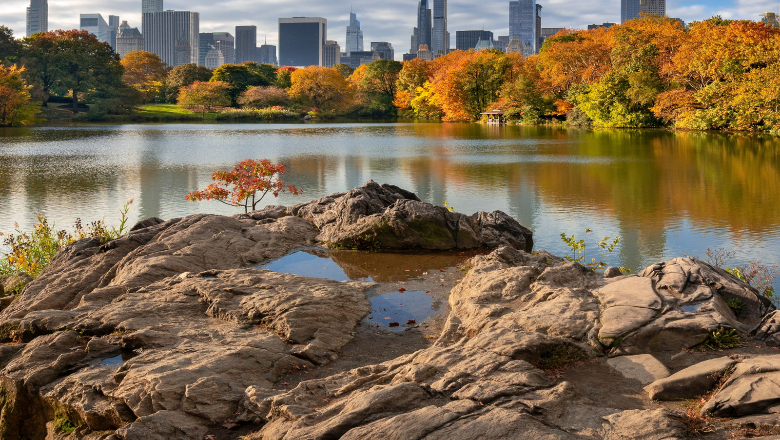 Central Park Is Just Steps Away At One Of New York City's Most ...