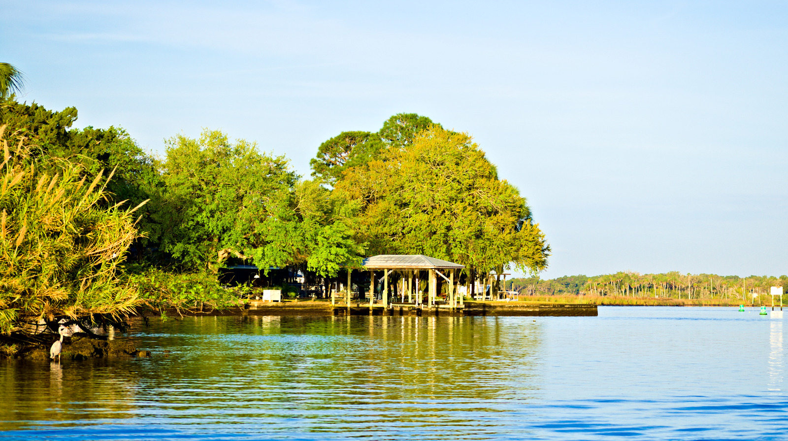 Come Face-To-Face With Florida Wildlife At This Beautiful And ...