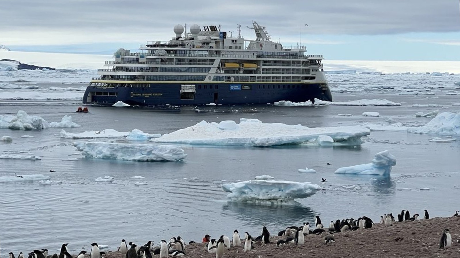 Consumer Reports Has Named The No. 1 Cruise Line For Overall Satisfaction