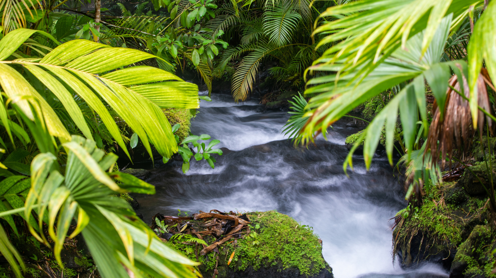 Costa Rica's Naturally Heated River Is A Secret Free Spot To Soak And ...