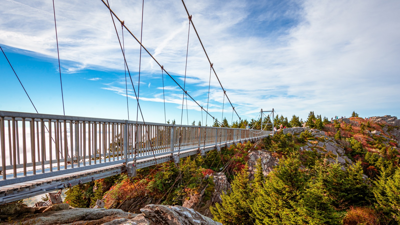 Dare To Walk America's Highest Suspension Footbridge At This Nature ...