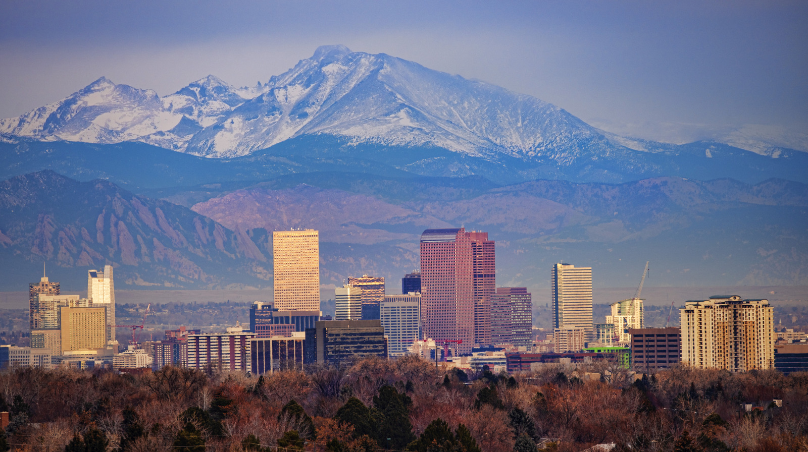 Denver's Dinosaur-Themed Hotel Is A One-Of-A-Kind Colorado Stay Full Of ...