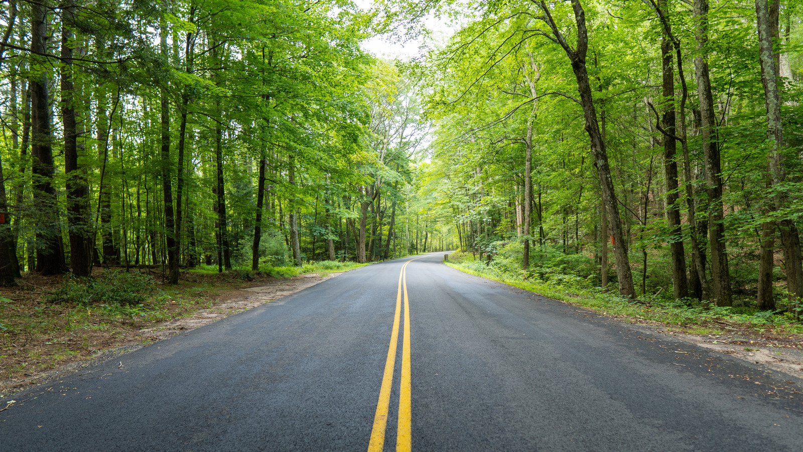 Drive Along The 'Quiet Corner' Of Connecticut On A Road Featuring ...