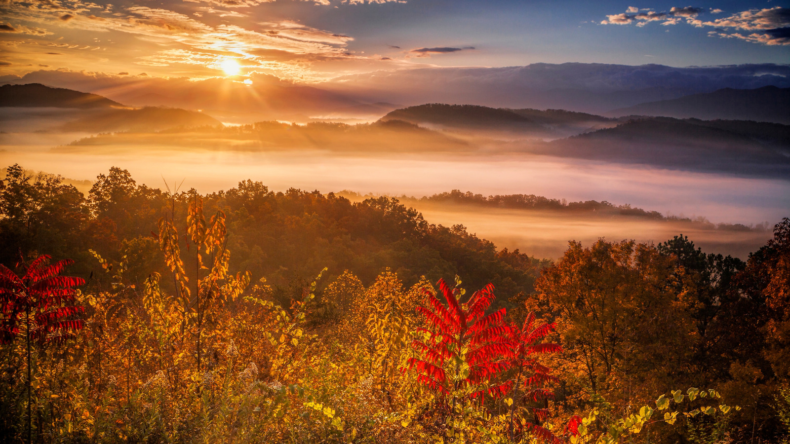Drive Through The Smokies On A Striking Tennessee Road With Valley ...