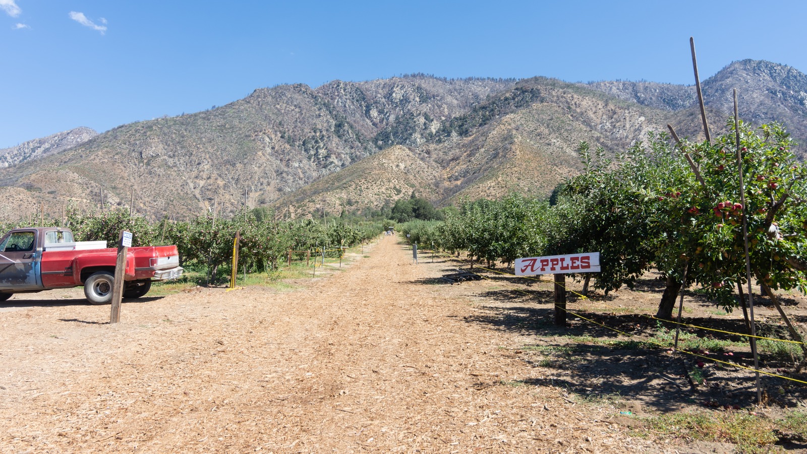 Escape LA's City Life On This Scenic Road Trip To A Tiny California ...