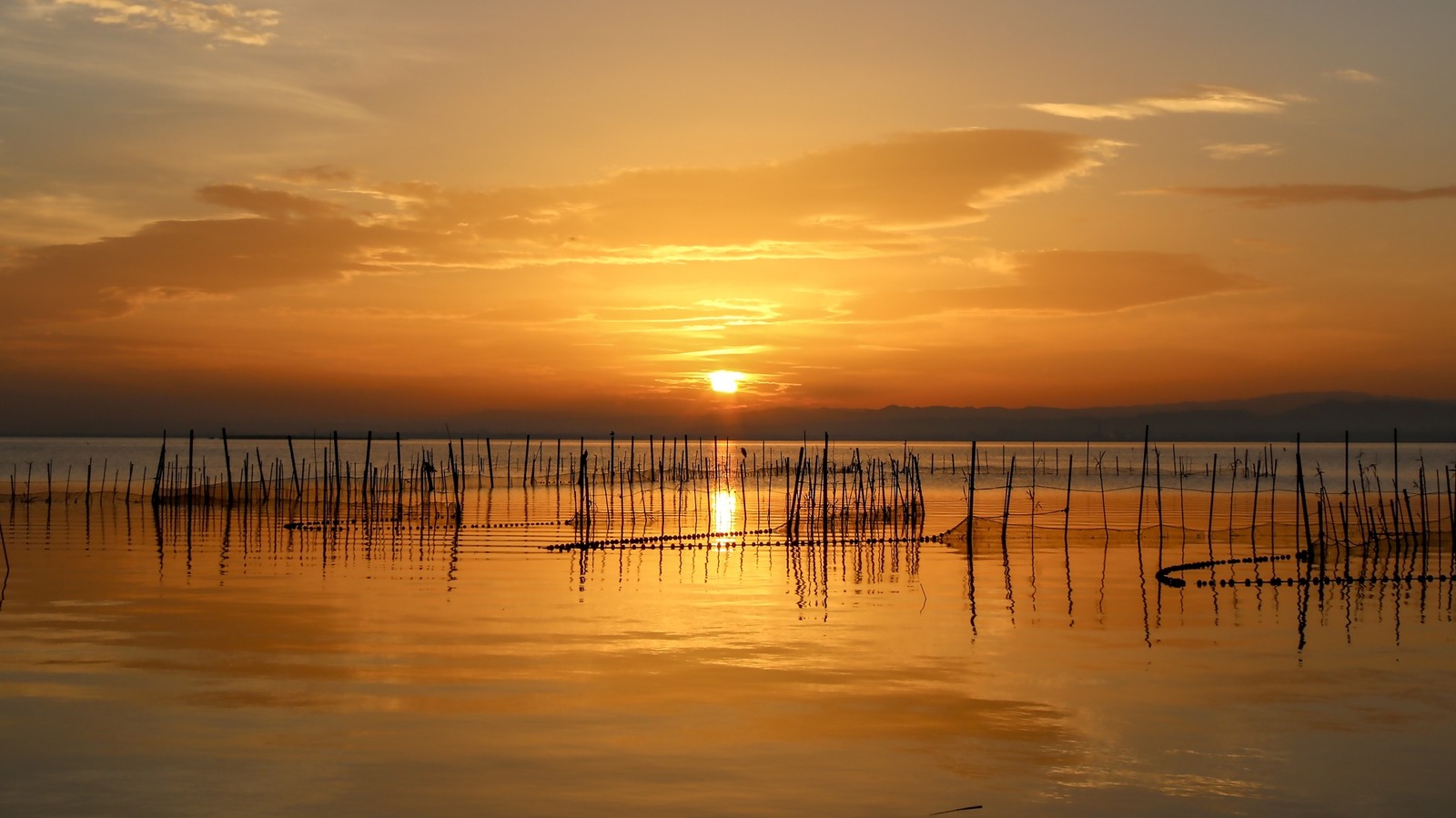 Escape Valencia's Bustle At The City's Natural Park With A Large Lagoon ...