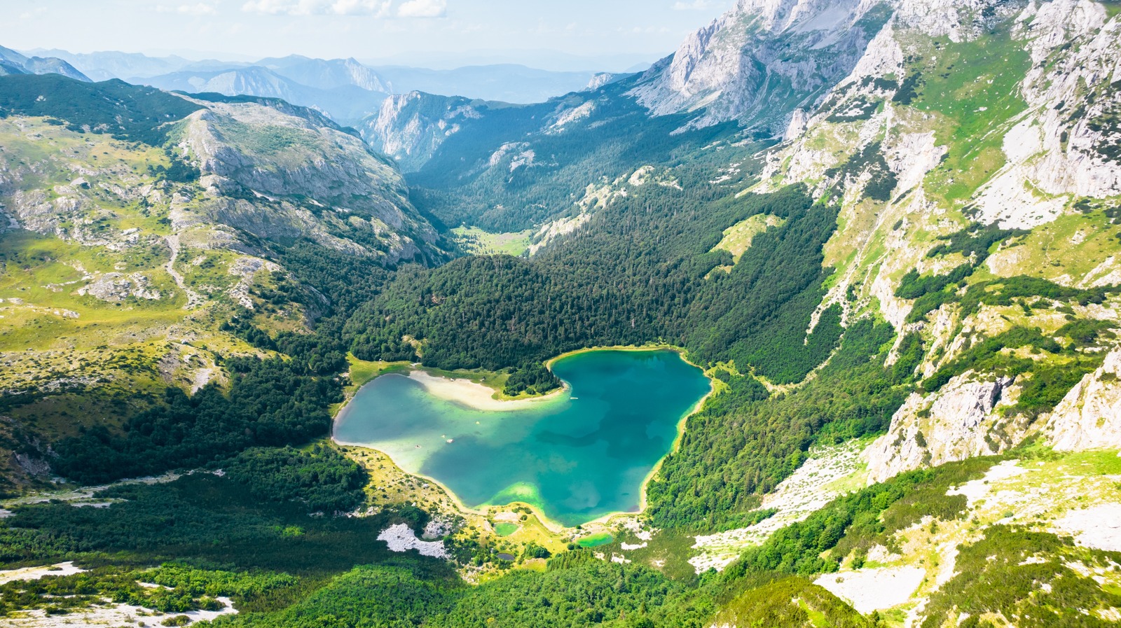 Europe's Oldest Rainforest Is An Underrated National Park Known As ...