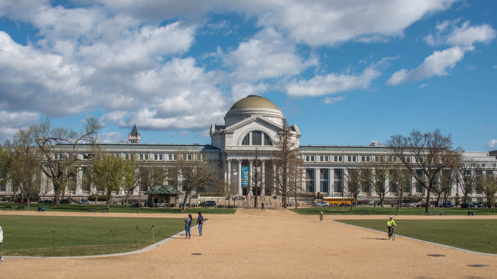 Explore The Largest Natural History Collection In The World At This ...