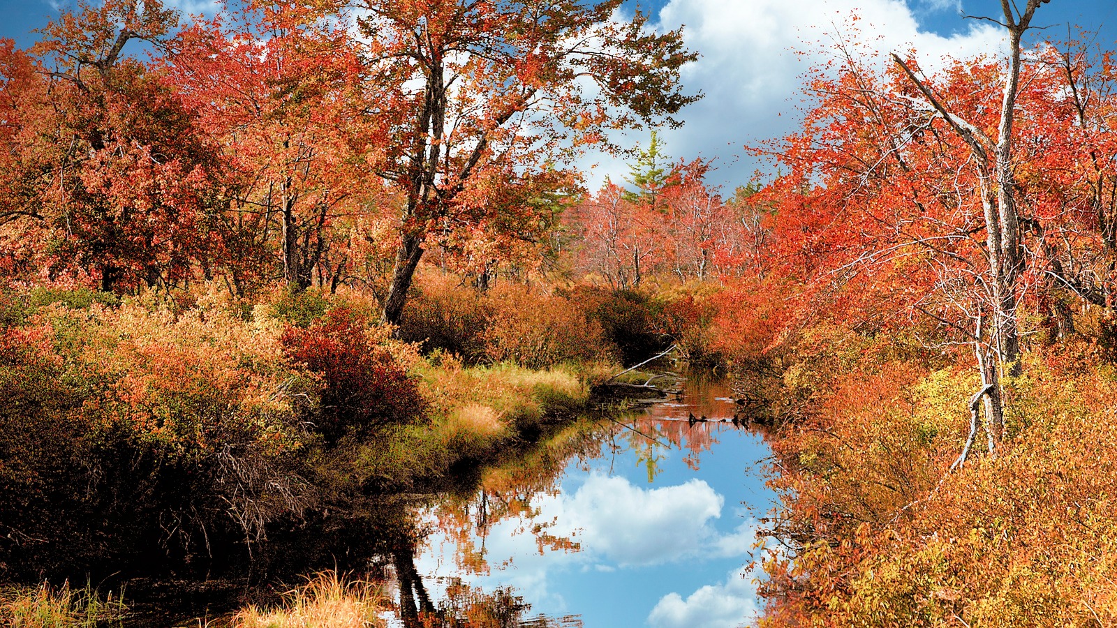 Fall Foliage And Festivities Are Everywhere In This Gorgeous ...
