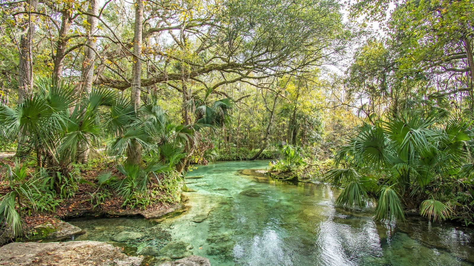 Float Down A Natural Lazy River At This Secret Florida Spring
