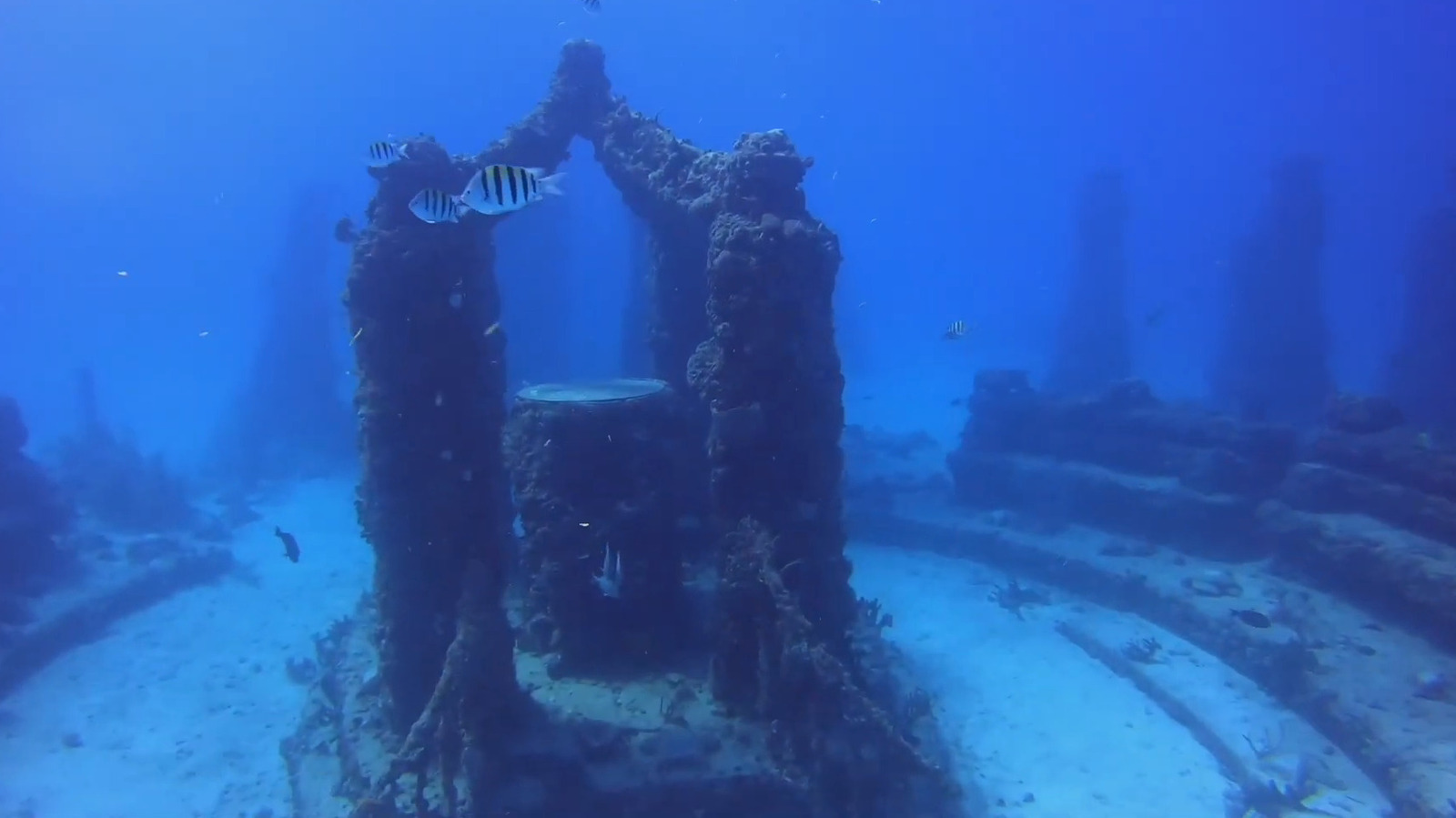 Florida Has The World's Only Underwater Cemetery & It's Free To Visit