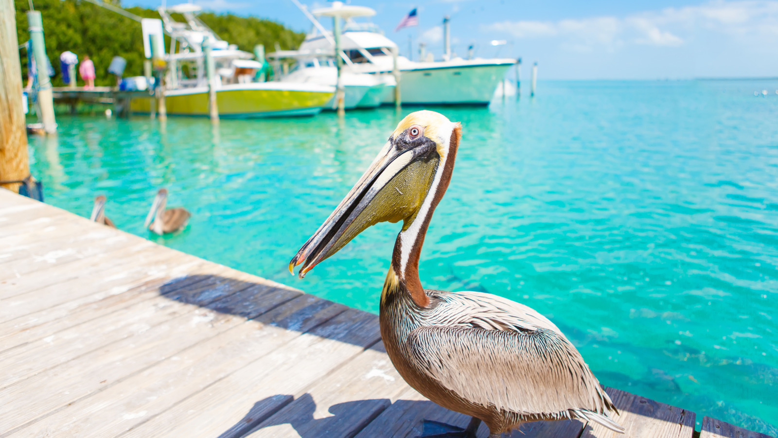 Florida Keys' Iconic Road Trip Destination Stop Boasts Art, Snorkeling ...