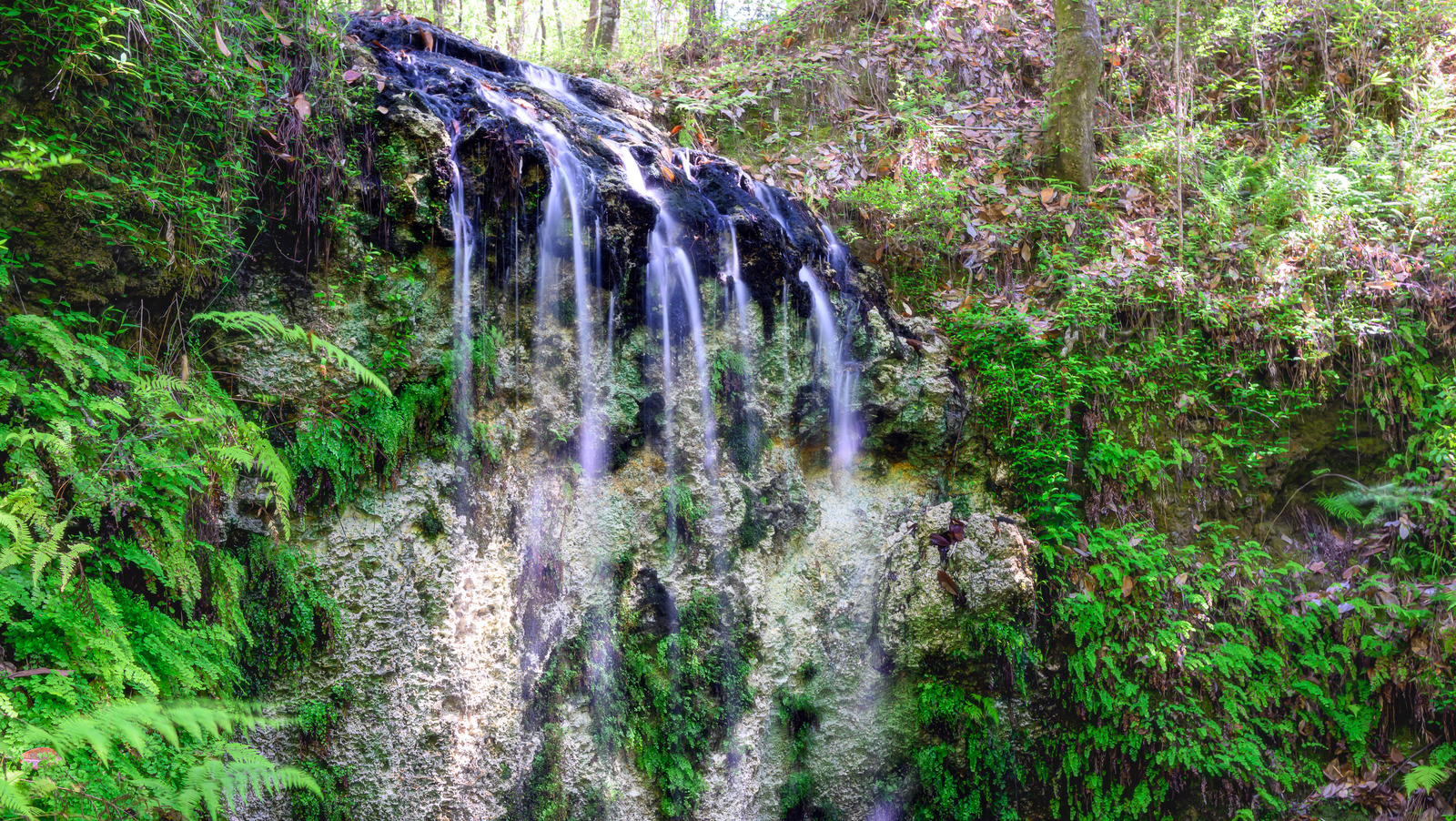 Florida's Awe-Inspiring Road Trip Route Explores The State's Underrated ...