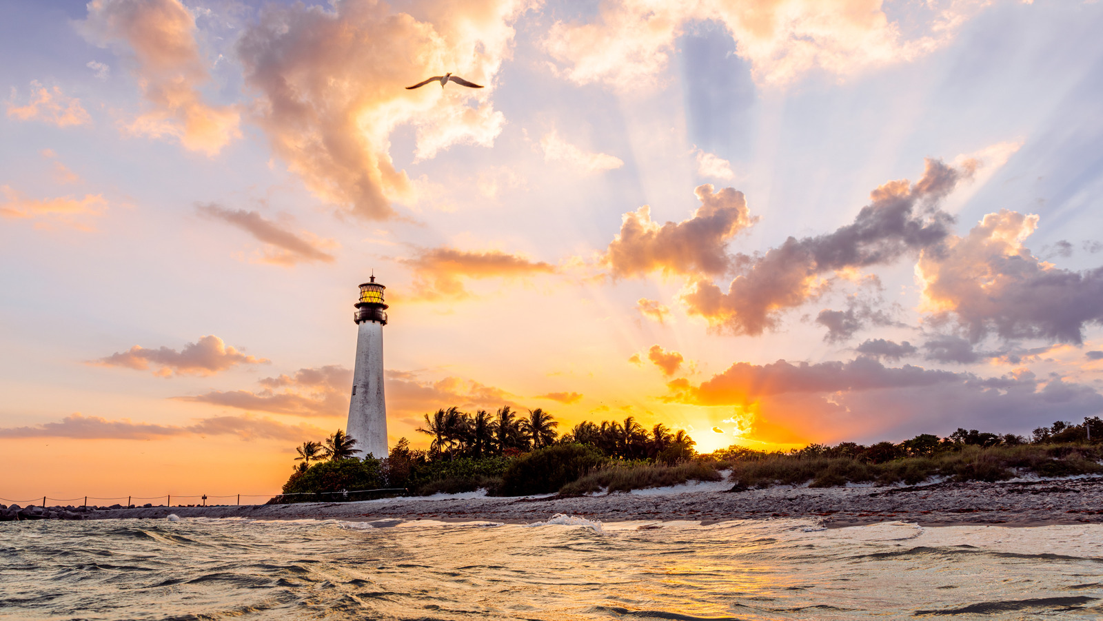 Florida's Legacy Lighthouse Offers Unmatched Coastal Views Of The World ...