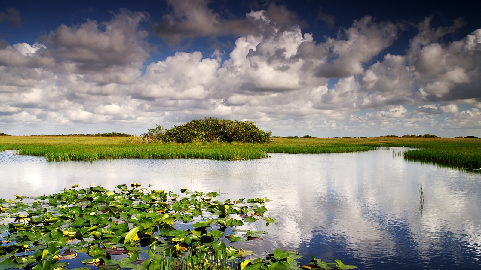 Florida's Lovely Trail Starting In The Greater Everglades Is Called One ...