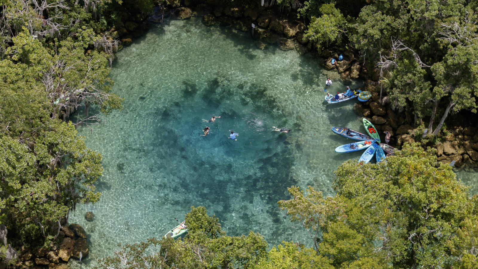 Florida's Natural Swim Spring On The Gulf Coast With Seasonal Manatees ...