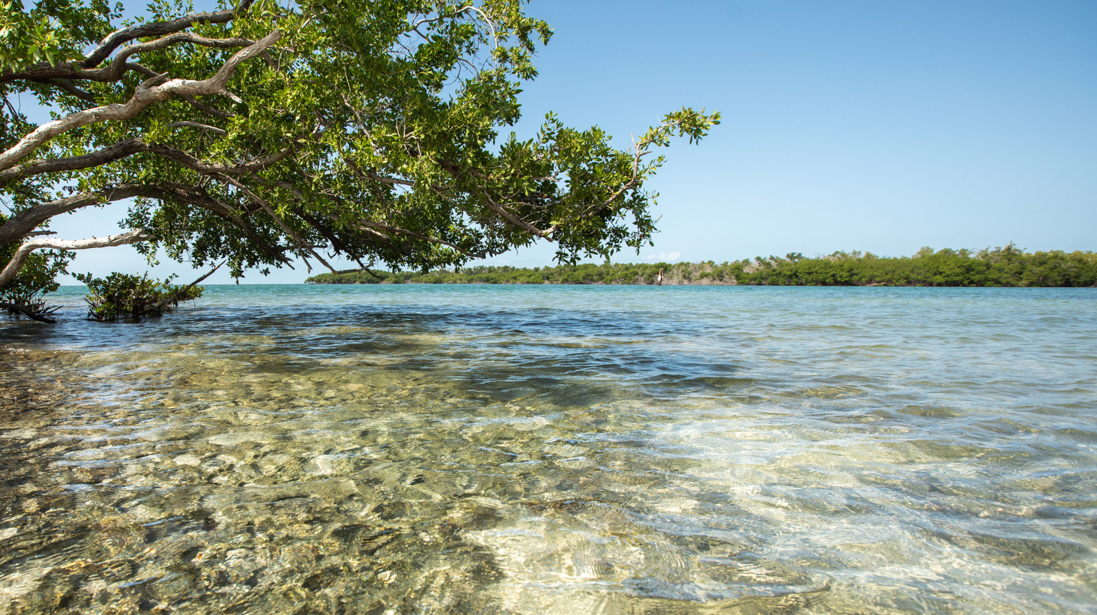 Florida's Secluded Group Of Islands In The Keys Boasts Caribbean-Like ...