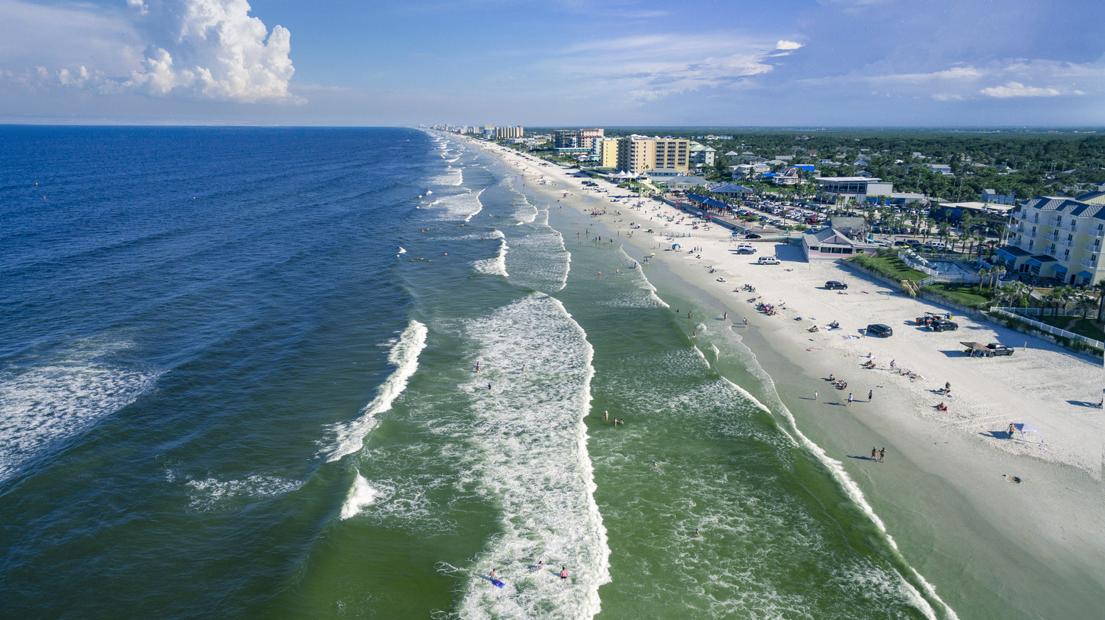 Florida's Two Most Shark-Filled Beaches Are Nestled Right Next To Each ...