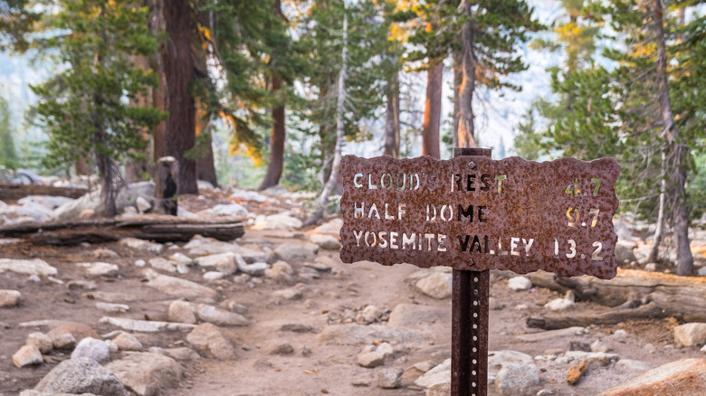 Forget Half Dome — Hike Yosemite National Park's Underrated Trail With ...