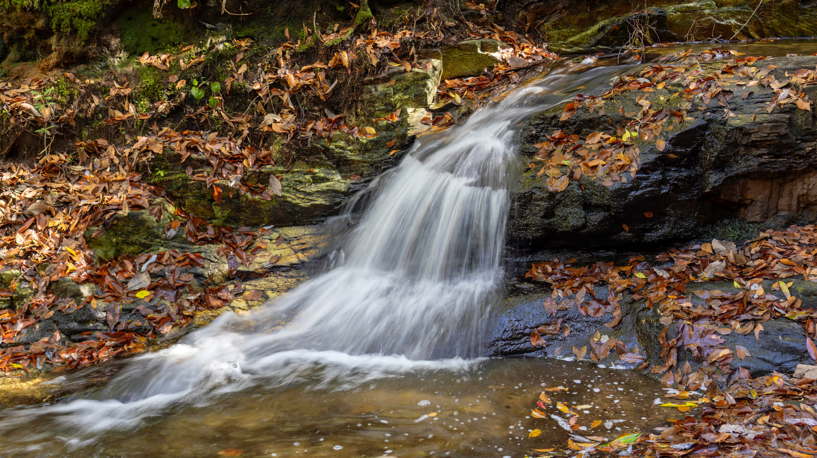 Georgia's Largest State Park Is A Mountainous Family Gem With ...