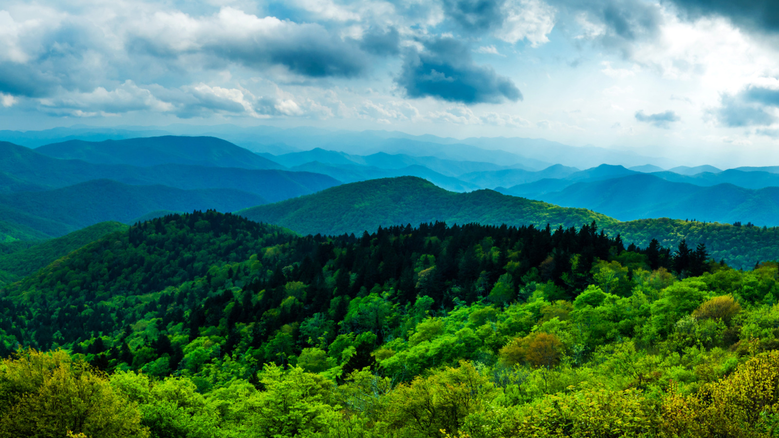 Georgia's Scandinavian-Style Blue Ridge Mountain Community Is A Chic, Eco-Friendly Stay