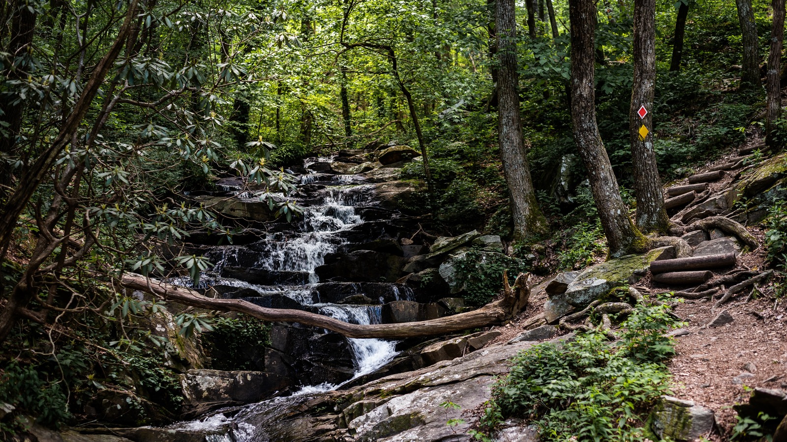 Gorgeous Woodland Trails And Lake Beach Views Are Hidden Within This ...