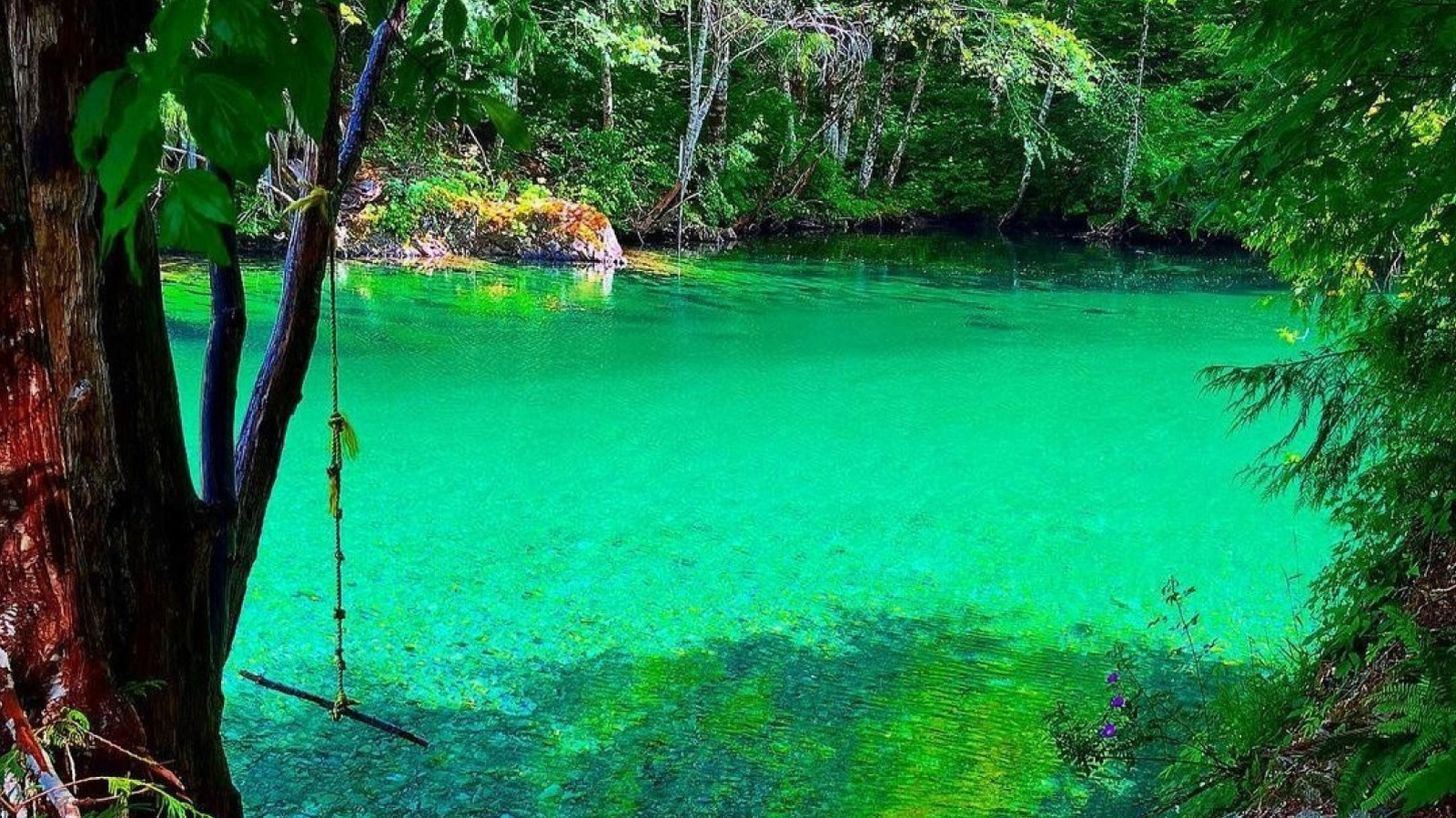 Hidden Behind A Roadside Rest Area Is Vancouver Island's Secret ...