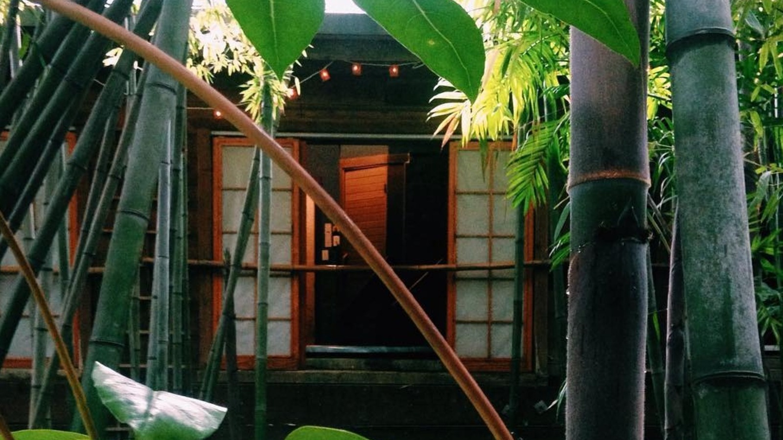Hidden In Downtown Santa Cruz Is California's Secret Bamboo Garden Spa ...