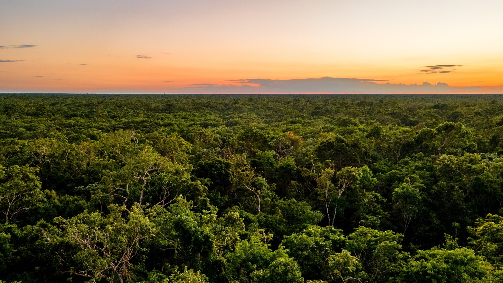 Hidden In Mexico's Yucatan Jungle Is A One-Of-A-Kind Park Built For ...