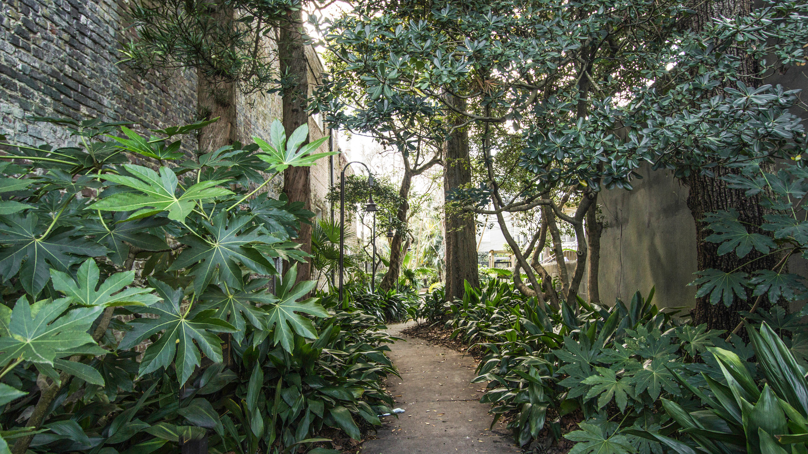 Hidden In The Heart Of Charleston Is A Secret Lush Walkway That Shows ...
