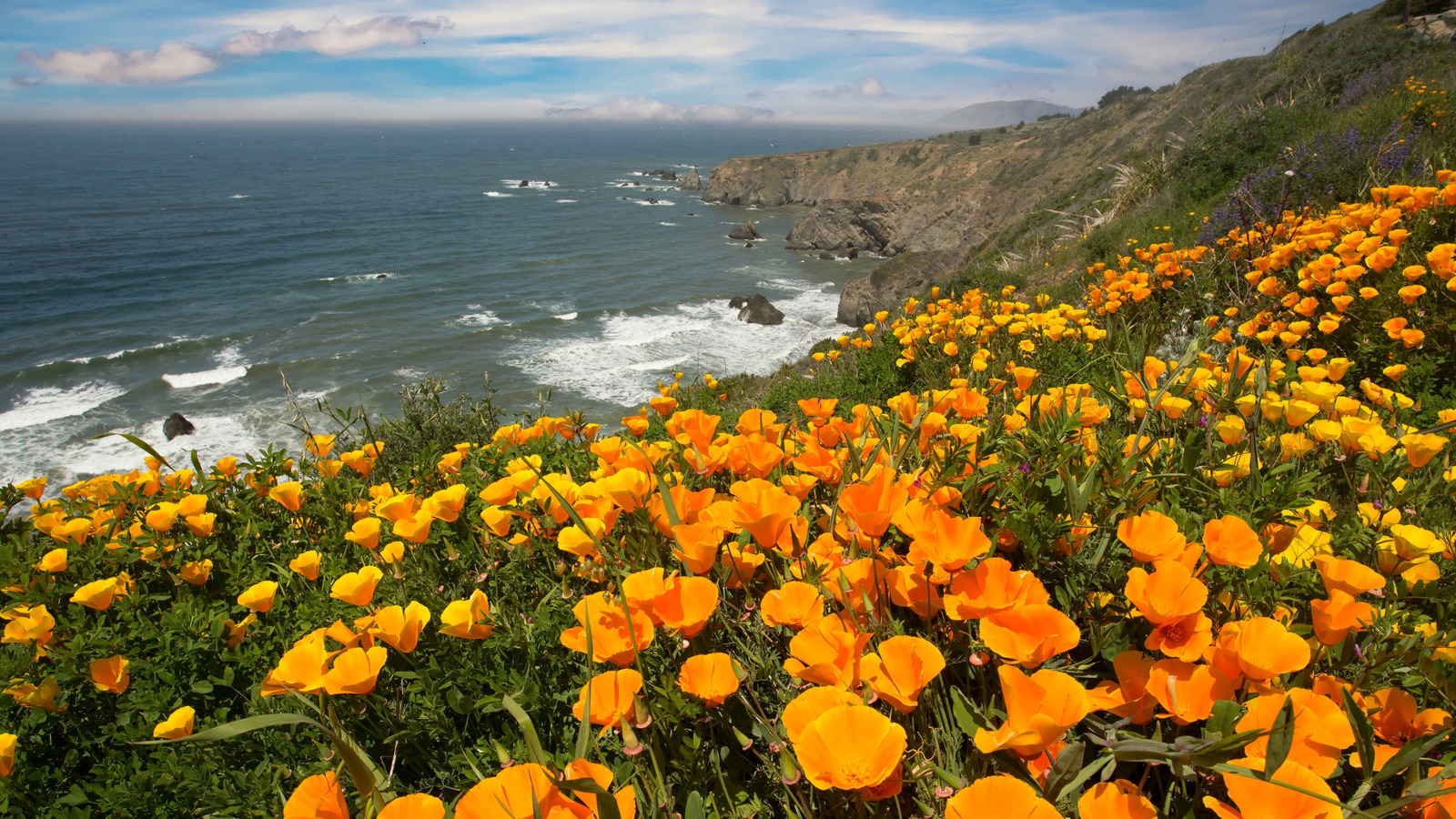 Hidden On California's Lost Coast Is An Unsung Gem With Sensational ...