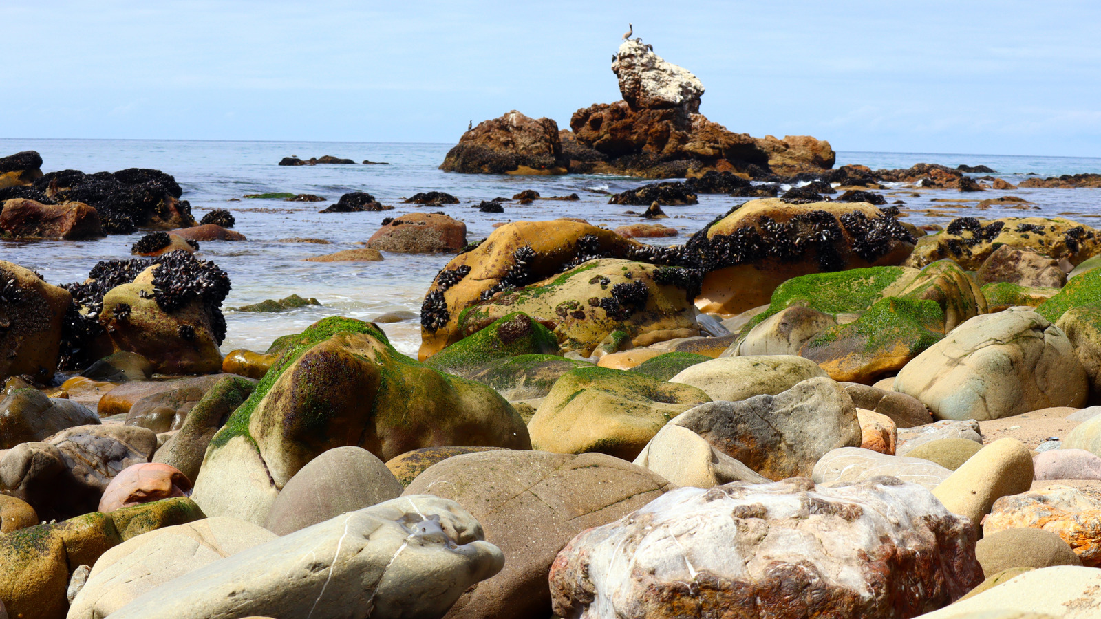 Hidden On California's Pacific Coast Highway Is A Wild Malibu Beach ...