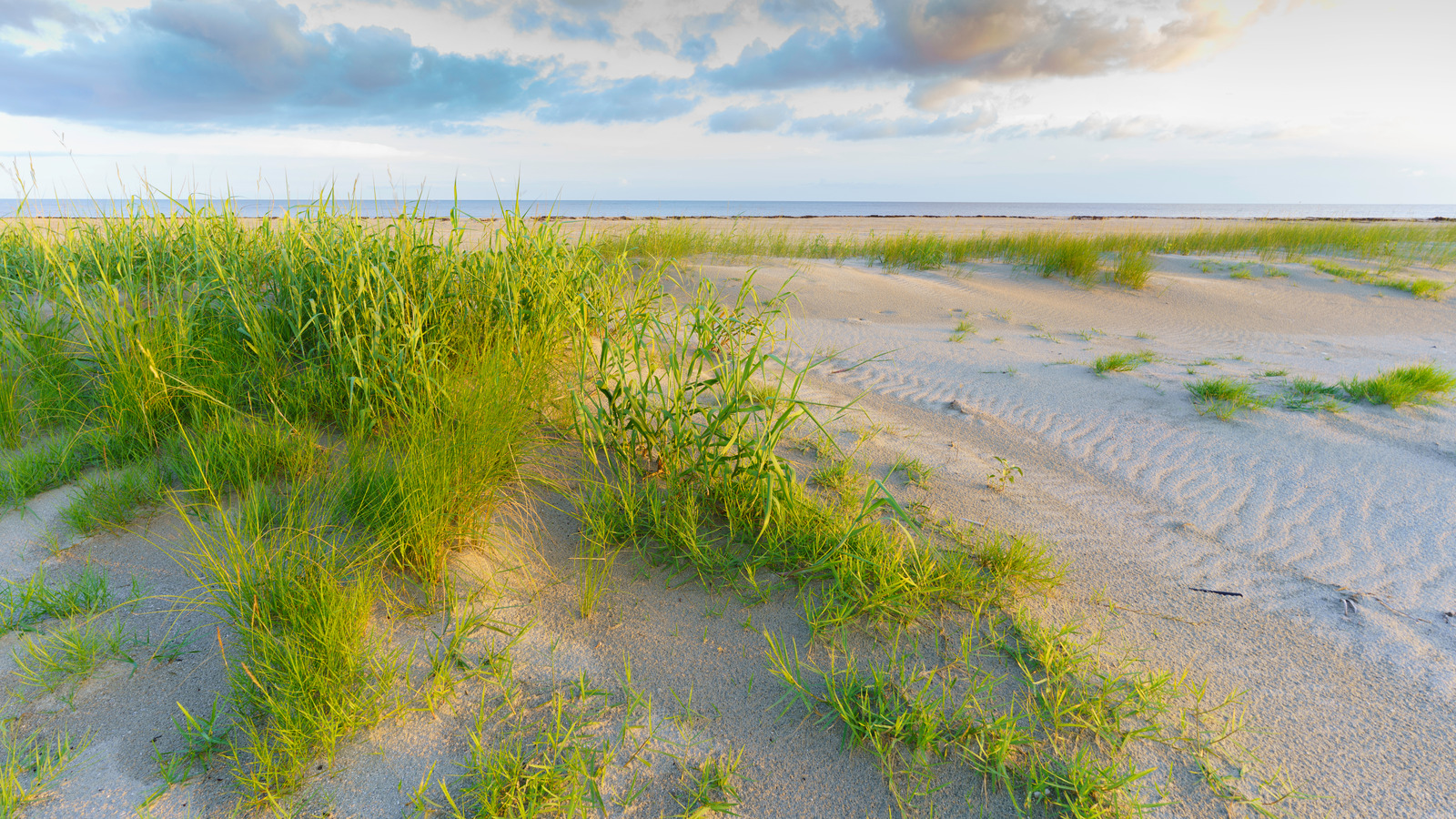 Hidden On Louisiana's Gulf Coast Is A White Sand Beach Nicknamed 'The ...