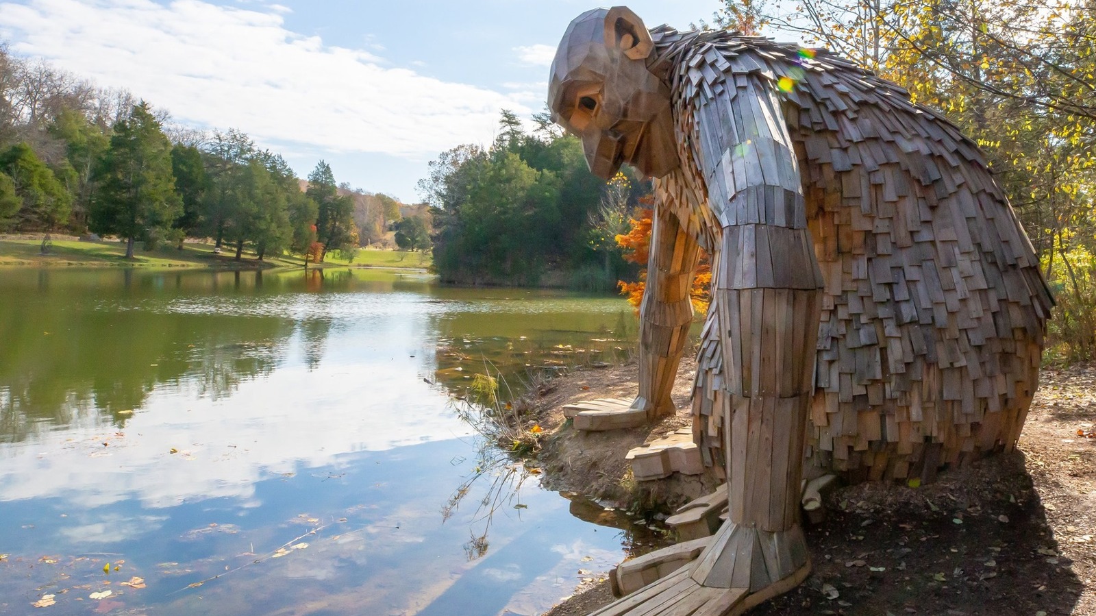 The Bernheim Forest In Kentucky Allows Guests To Hike Among "Forest Giants"