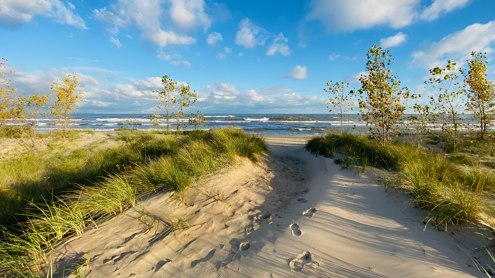 Indiana's Lovely Neighborhood On Lake Michigan Blends Beachy Vibes With ...
