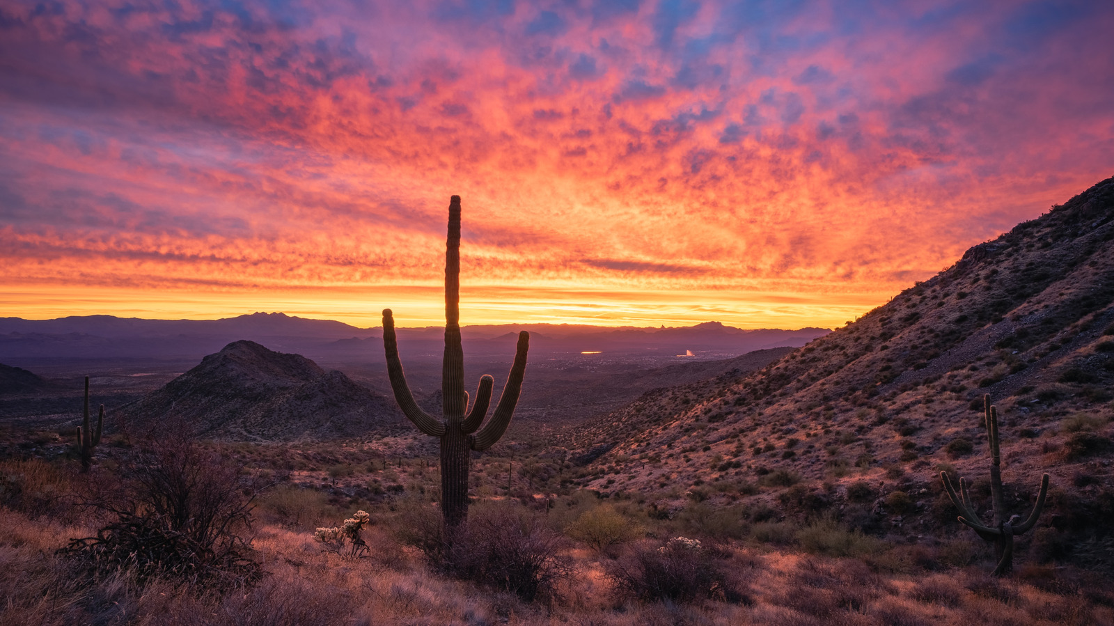Just Outside Phoenix Is A Biking Trail System Providing Red Rock Views ...