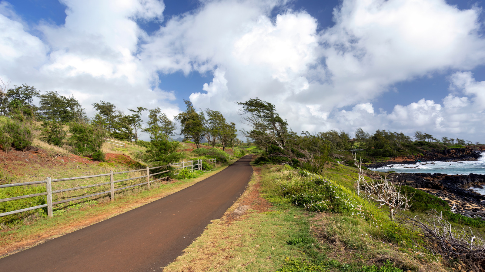 Kauai's Famous Coastal Trail Offers Unmatched Views, Wildlife, And ...