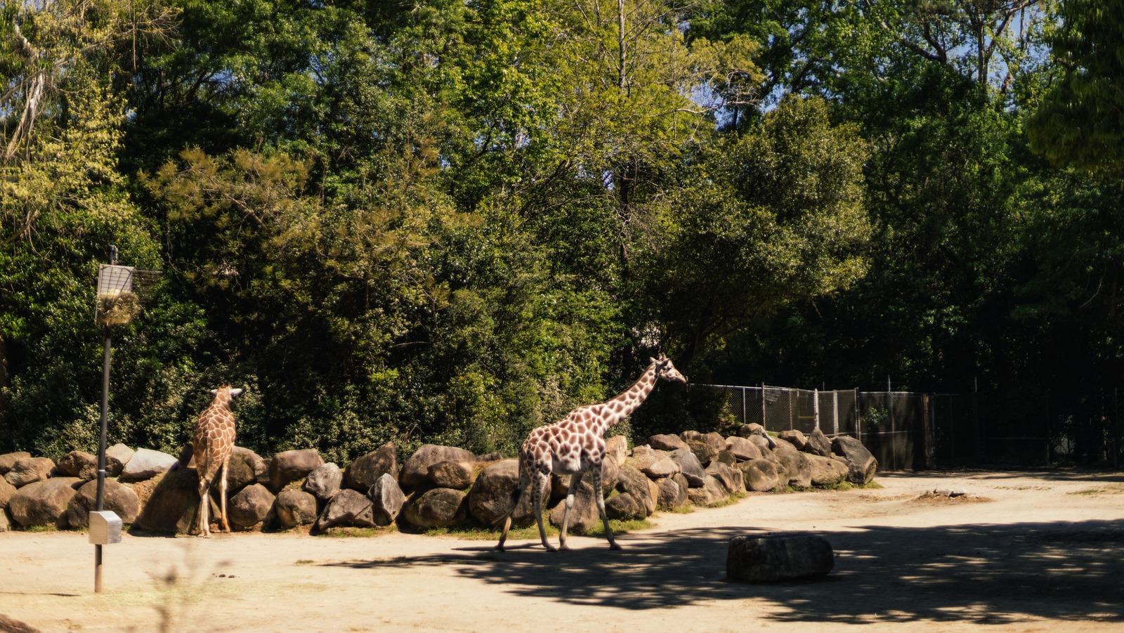 Little Zoos In America That Are Extremely Underrated, According To Visitors