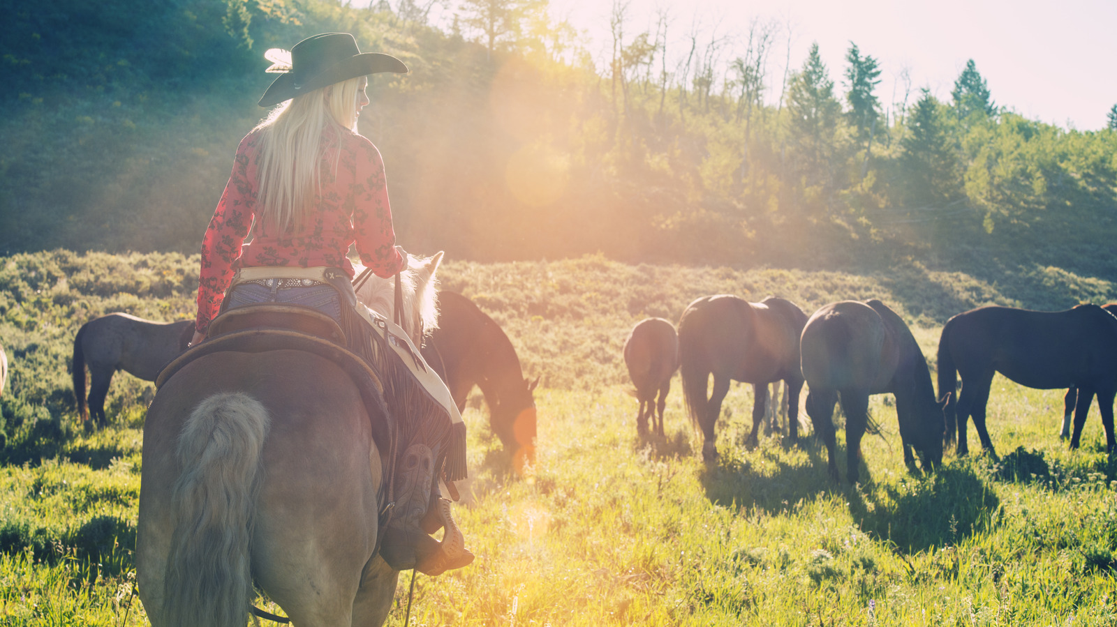 Live Out The Ultimate Western Lifestyle Of Your Dreams At Montana's 5 ...