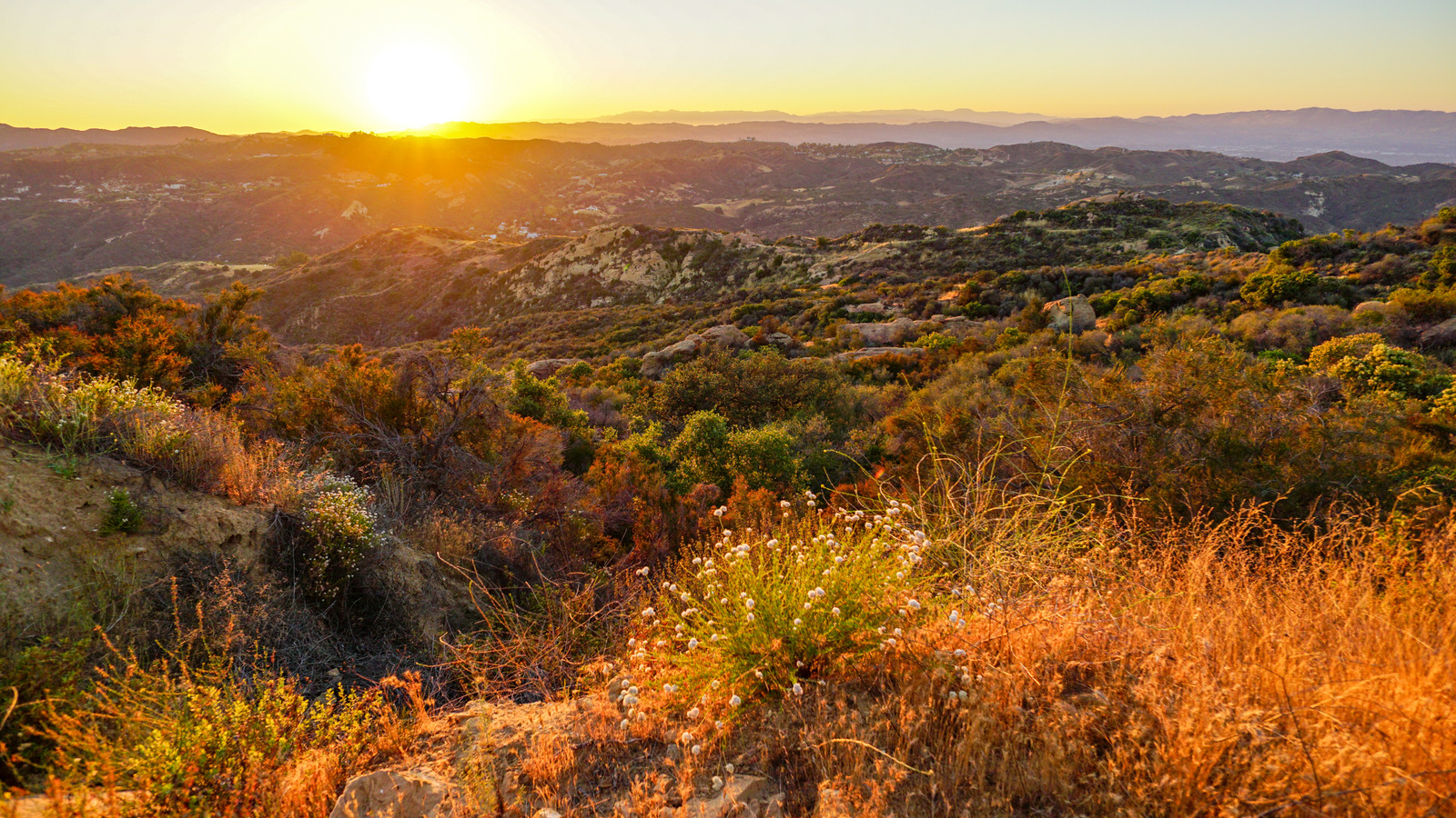 Los Angeles' 'Less-Touristy' Locations Where You Can Avoid Crowds In ...