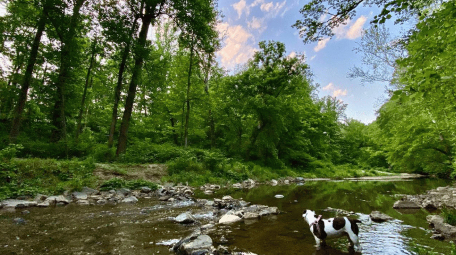 Maryland's Prettiest Washington DC Suburb Is Full Of Unique Boutiques ...