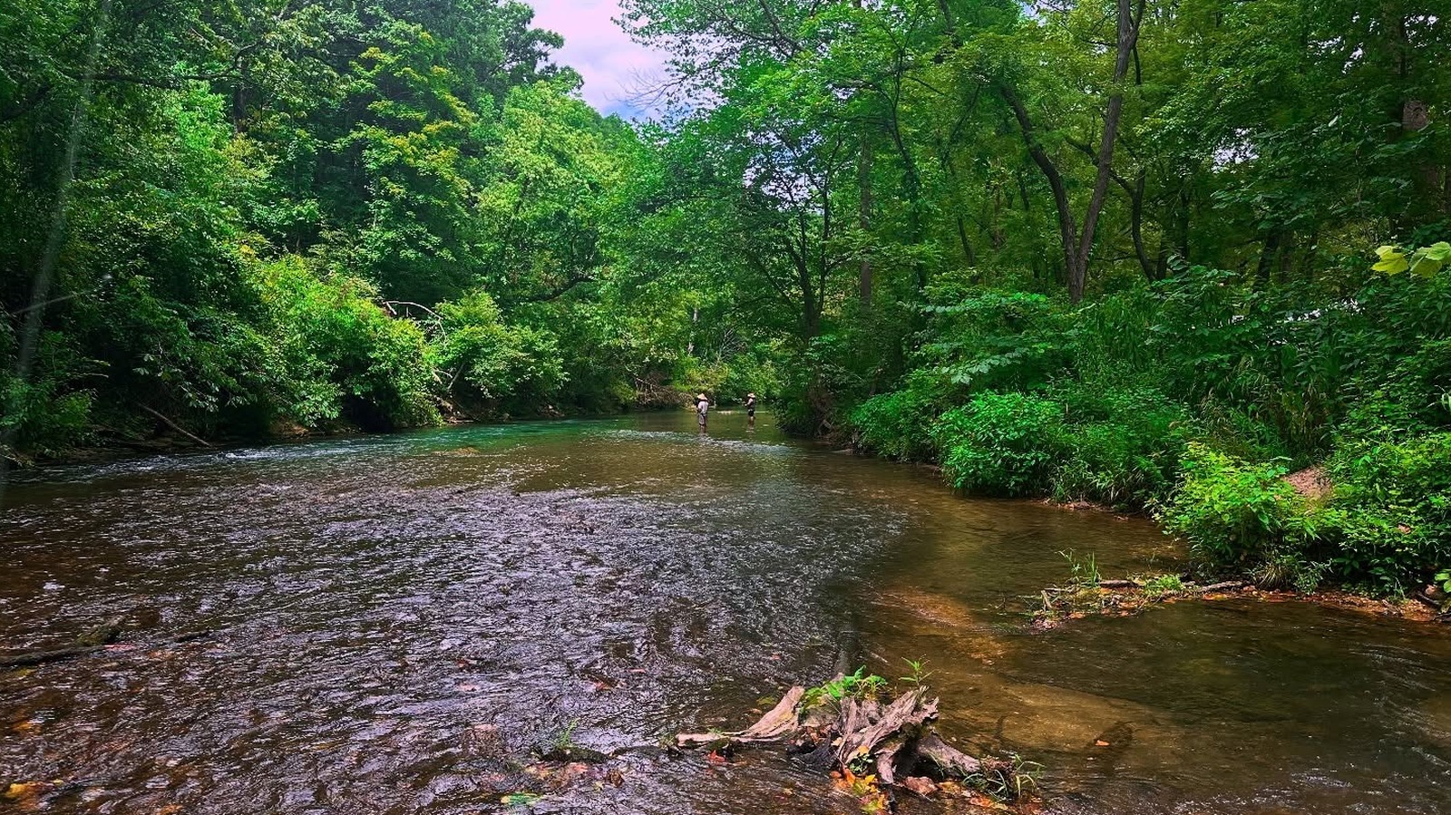 Missouri's Underrated Ozark Mountain Paradise Is An Artsy City ...