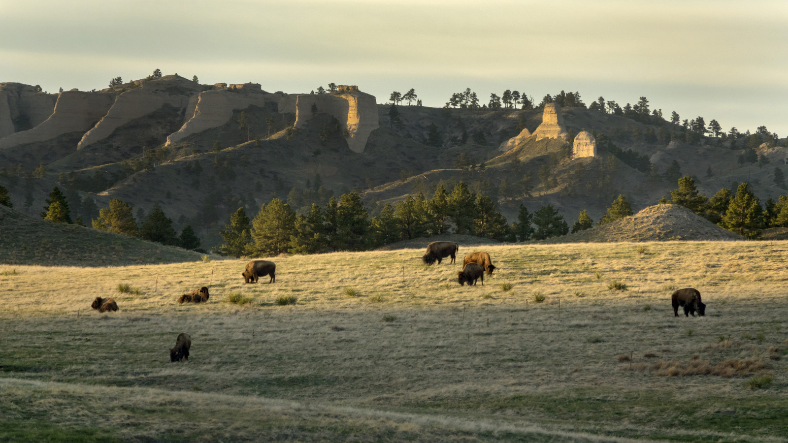 Nebraska's Family-Friendly Educational State Park Seamlessly Blends ...