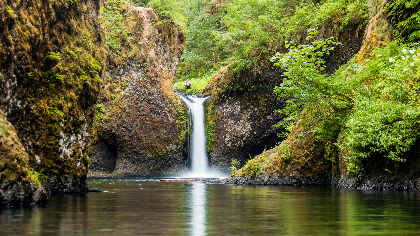 Nestled Along The Columbia River Gorge Is A Popular Oregon Hiking Trail ...