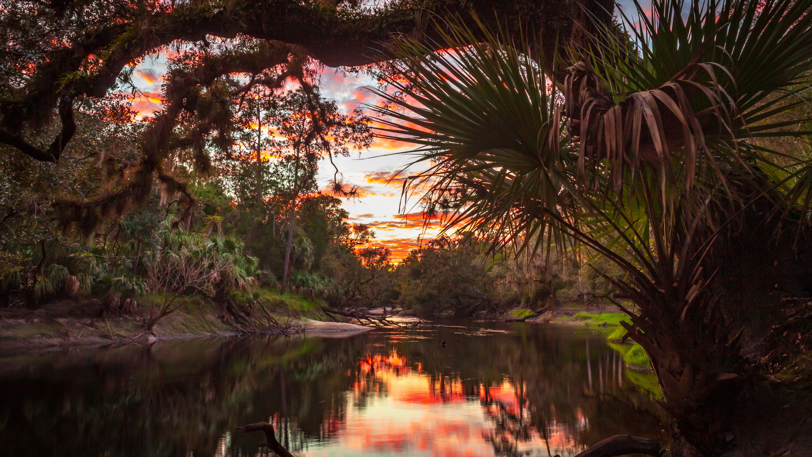 Nestled Between Orlando And Daytona Beach Is A Pristine River Called ...