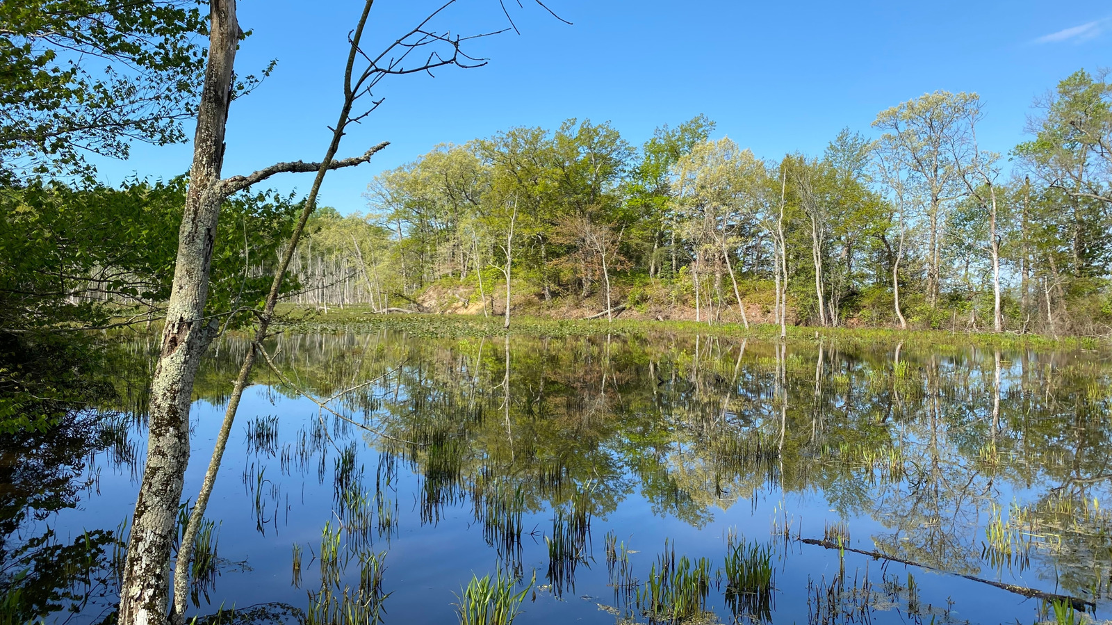 Nestled On The Potomac River Is A Virginia Peninsula Town That Is A ...